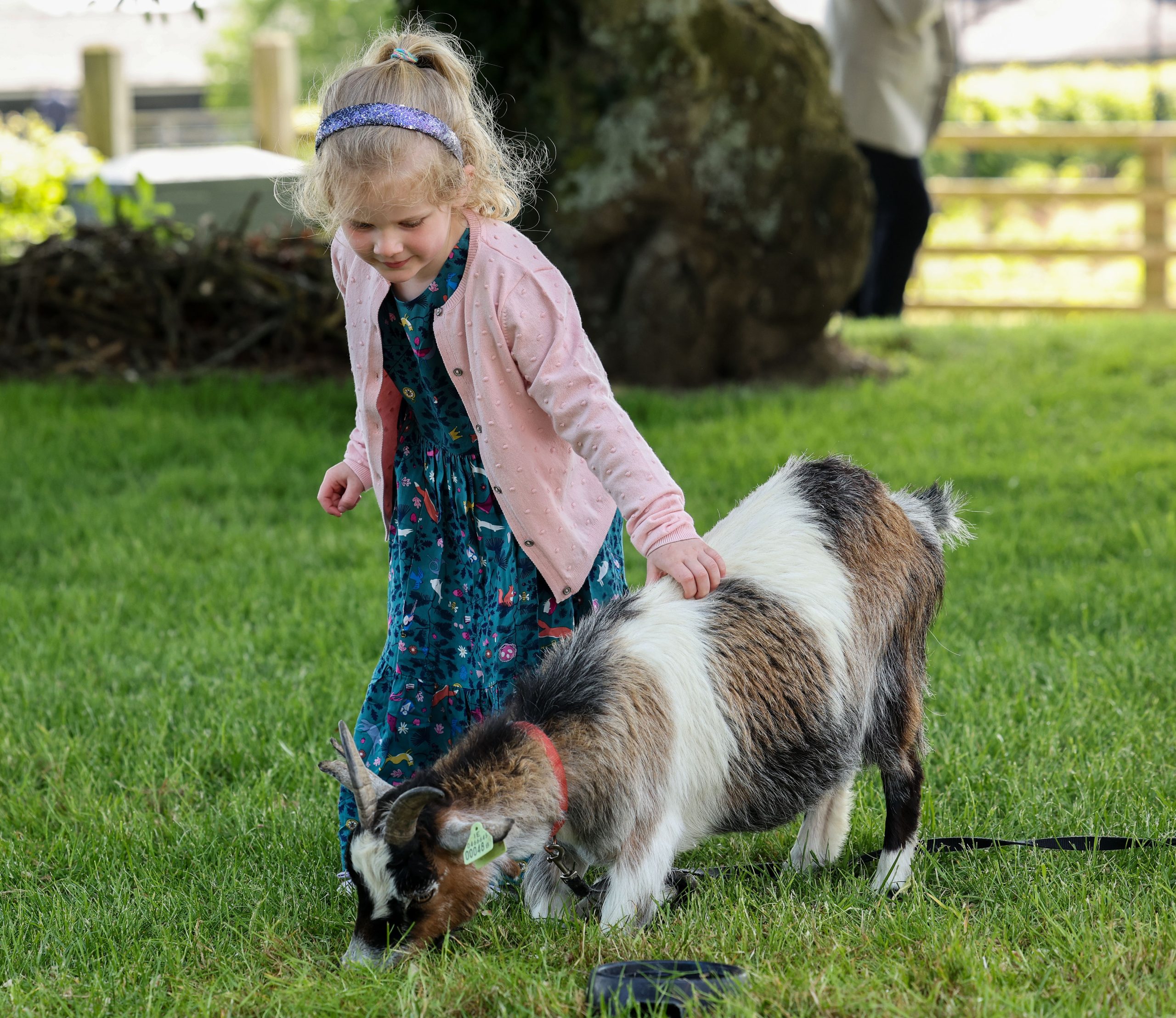 Family Days at The Curragh - The Curragh Where Champions are Made