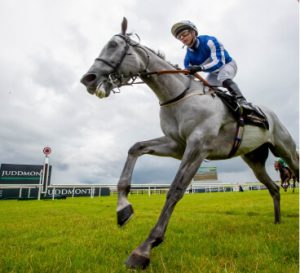 Our History - The Curragh Where Champions are Made