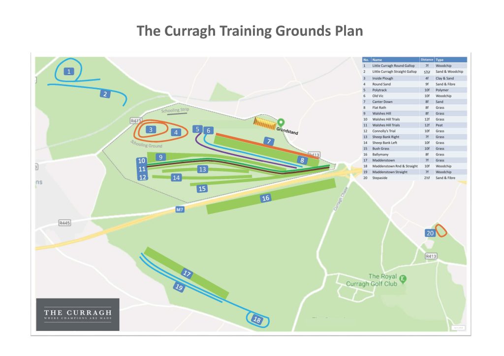Curragh Training Grounds - The Curragh Where Champions are Made
