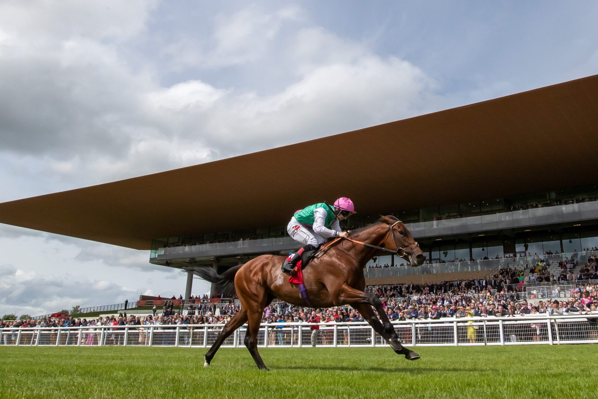 The Curragh Racecourse - The Curragh Where Champions are Made