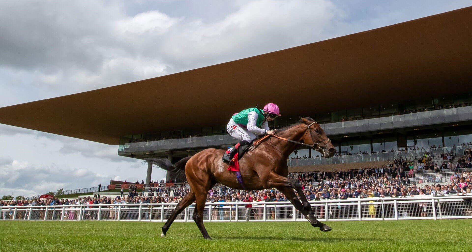 The Curragh Racecourse - The Curragh Where Champions are Made