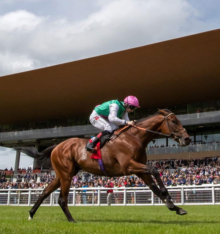 The Curragh Racecourse - The Curragh Where Champions are Made