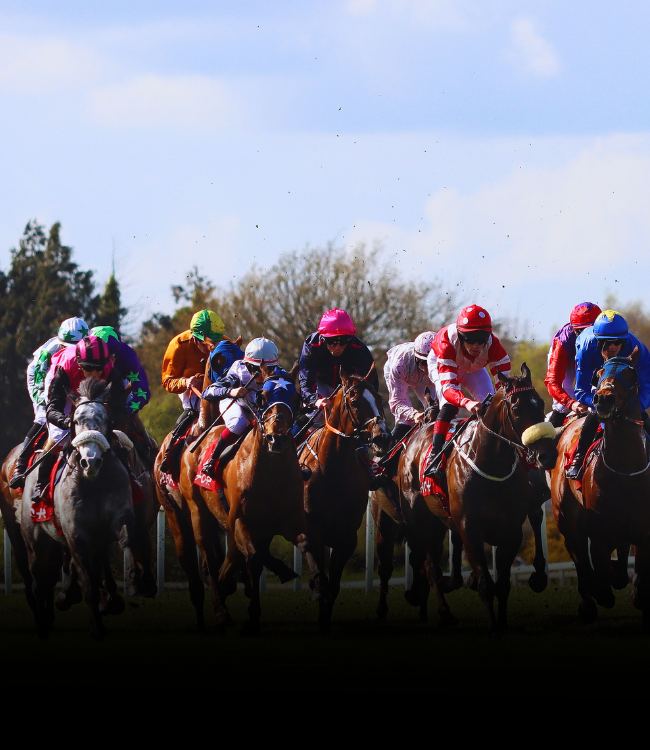 Spring Series - The Curragh Where Champions are Made