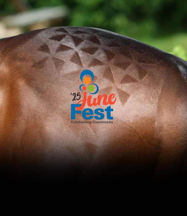 Junefest Race Evening - The Curragh Where Champions are Made