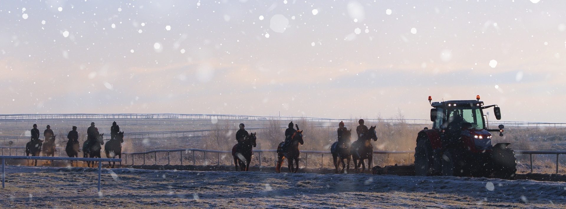 The Curragh Racecourse - The Curragh Where Champions are Made