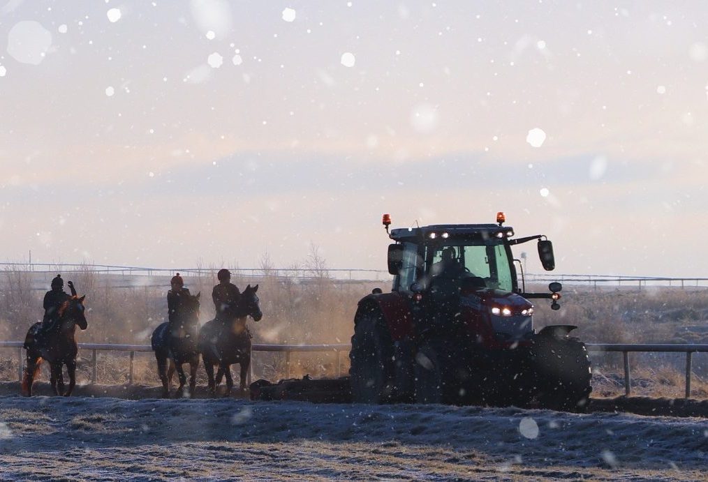 The Curragh Racecourse - The Curragh Where Champions are Made