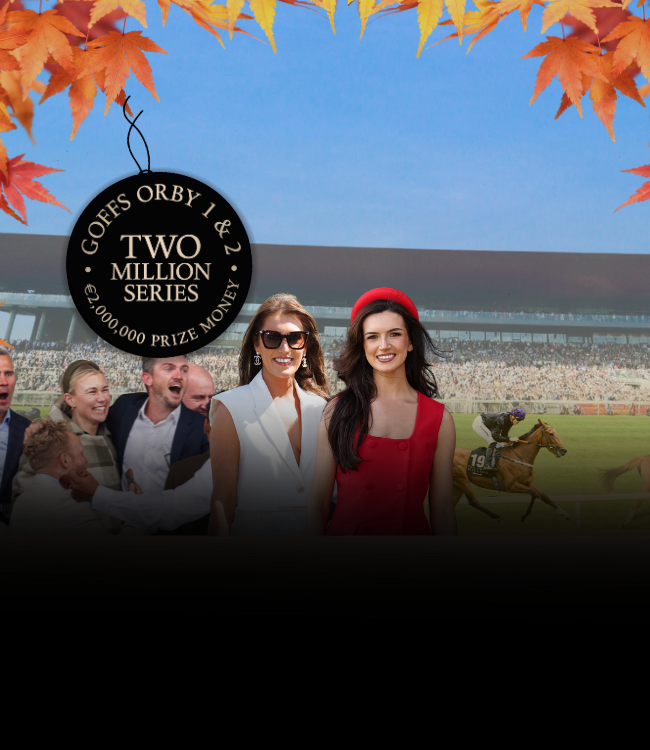 Autumn Racing Weekend - The Curragh Where Champions are Made